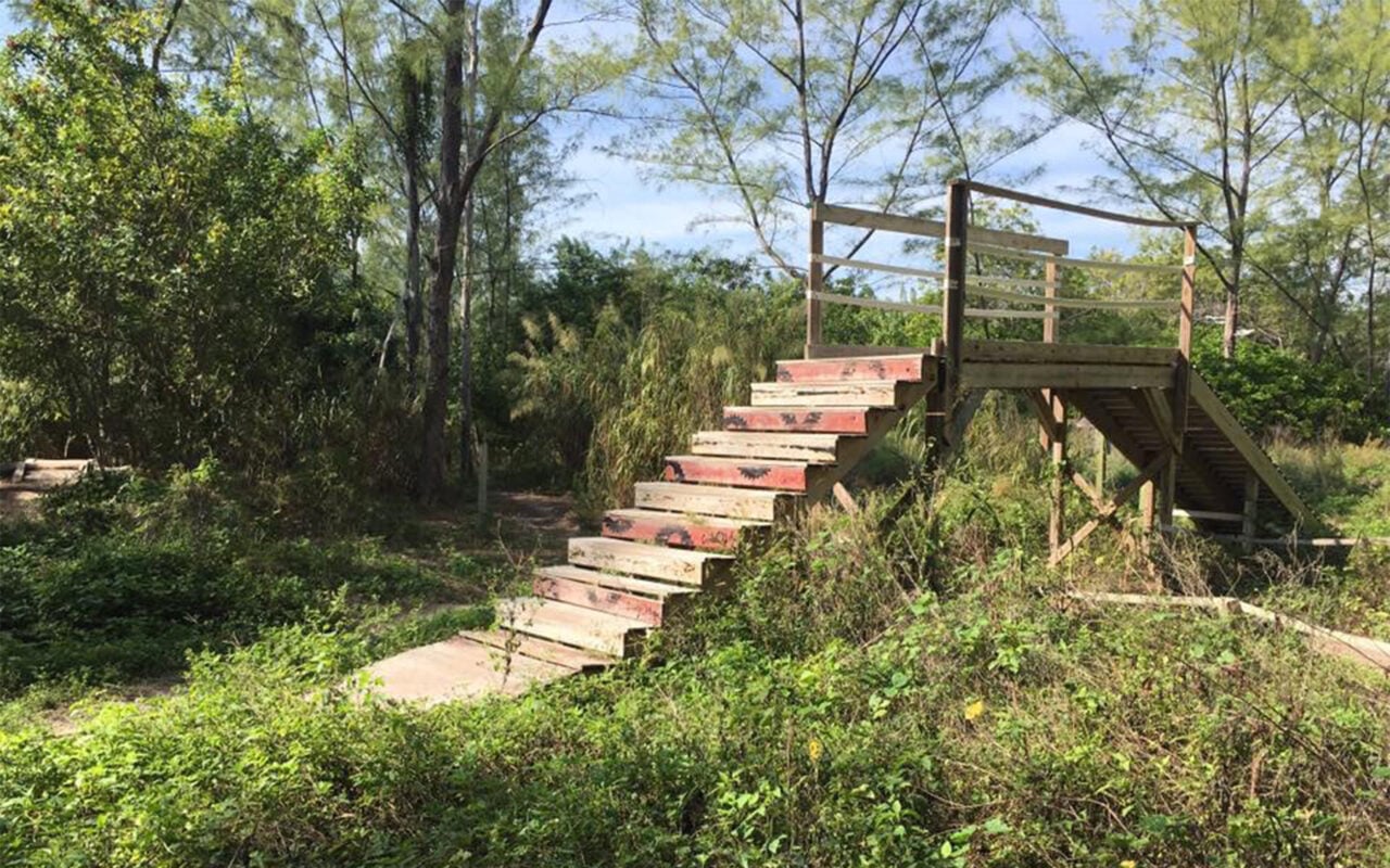 Get Stoked At Virginia Key Mountain Bike Trail In Miami FL