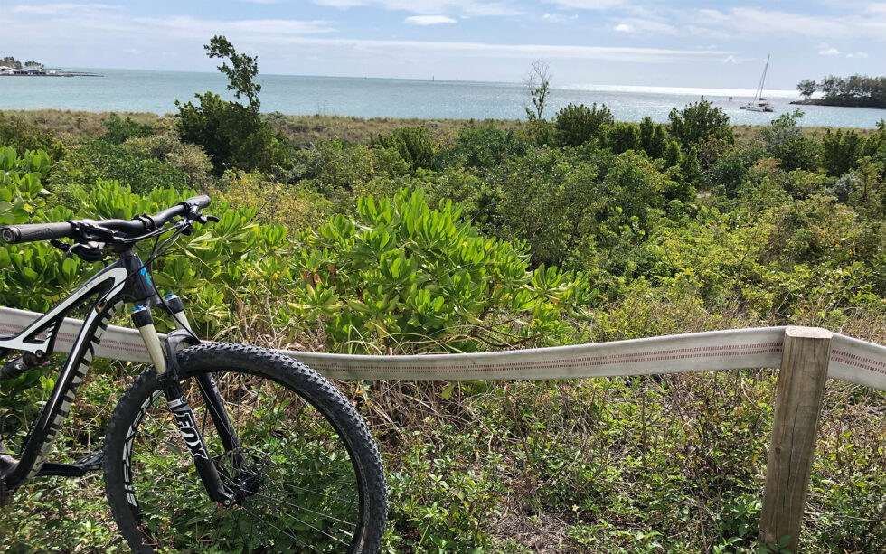 Get Stoked At Virginia Key Mountain Bike Trail In Miami FL